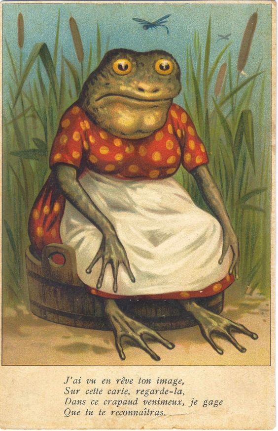 The Question Concerning Frogs (vom Heidegger)